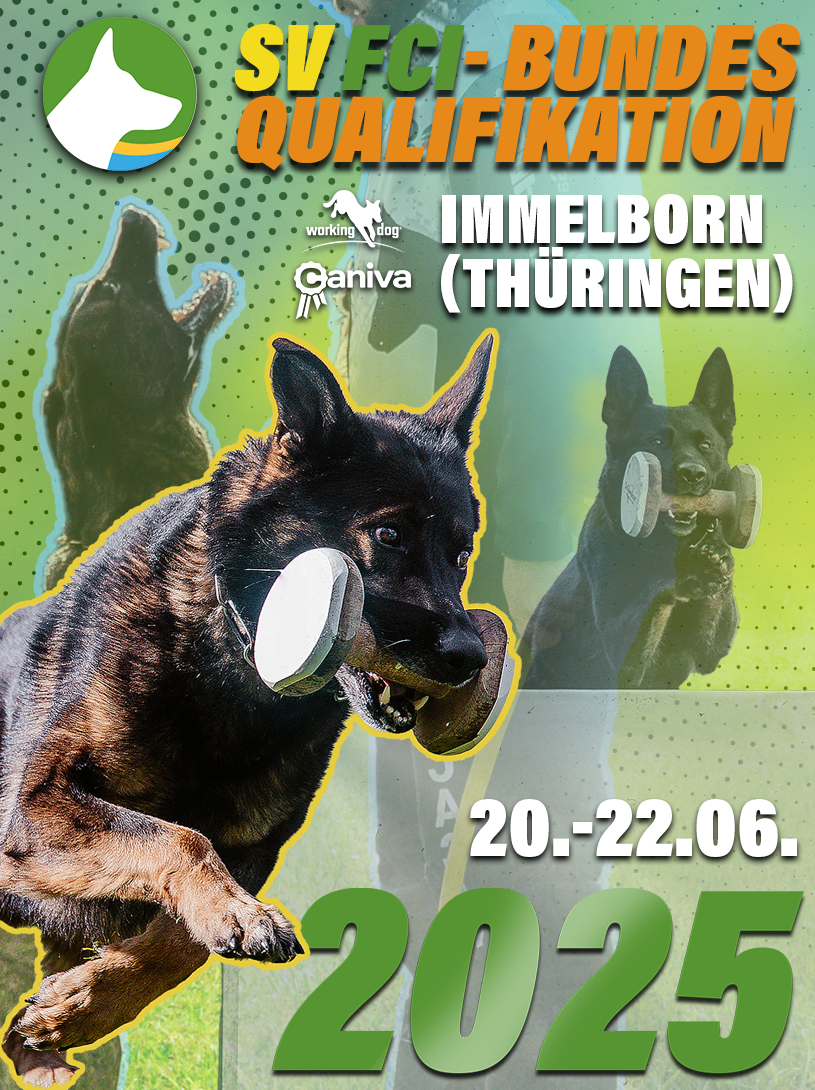 SV Bundes FCI 2025 - FCI-IGP 3 Ergebnisse – working-dog